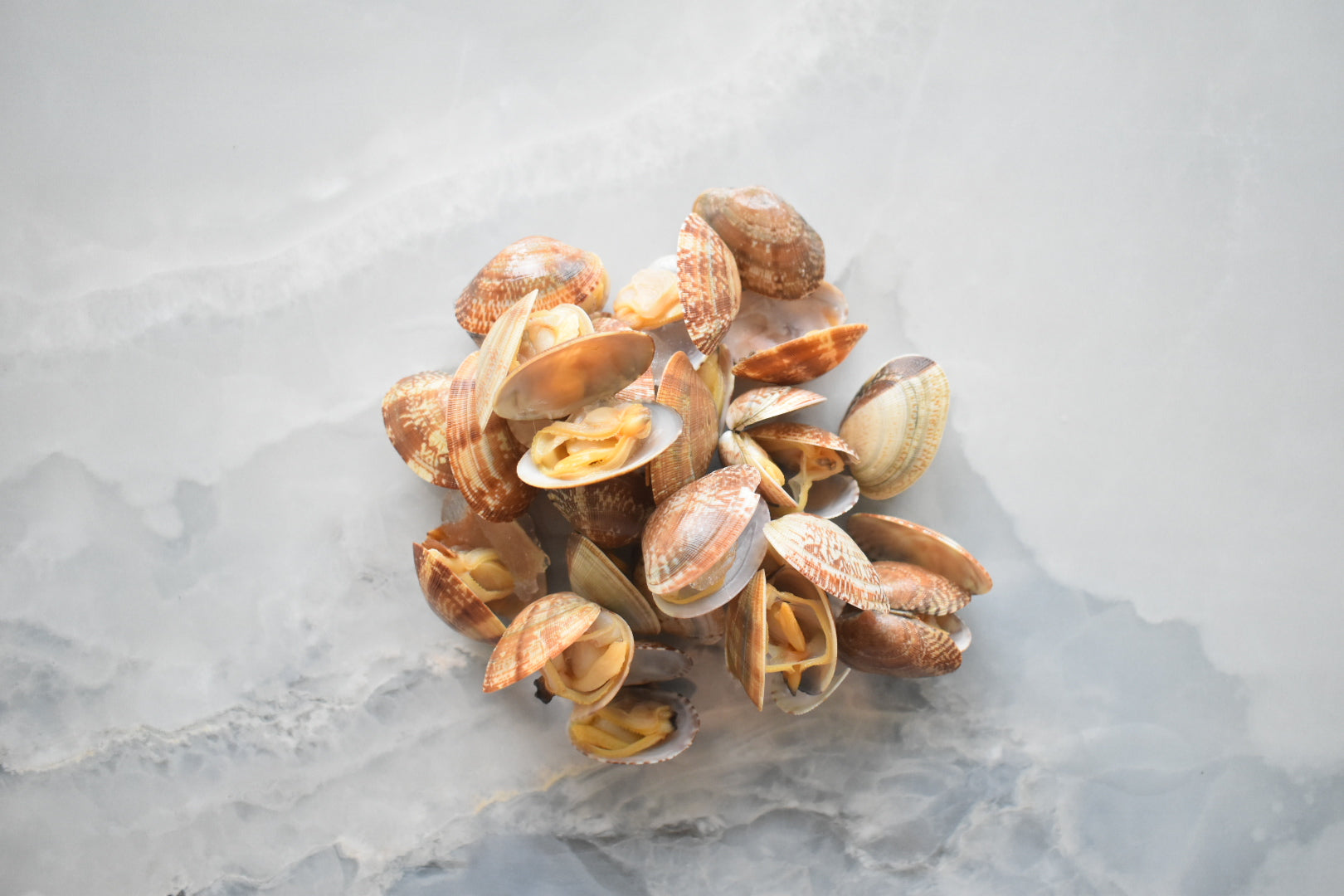 Flower ClamsㅣLala – OrderSeafoodSg