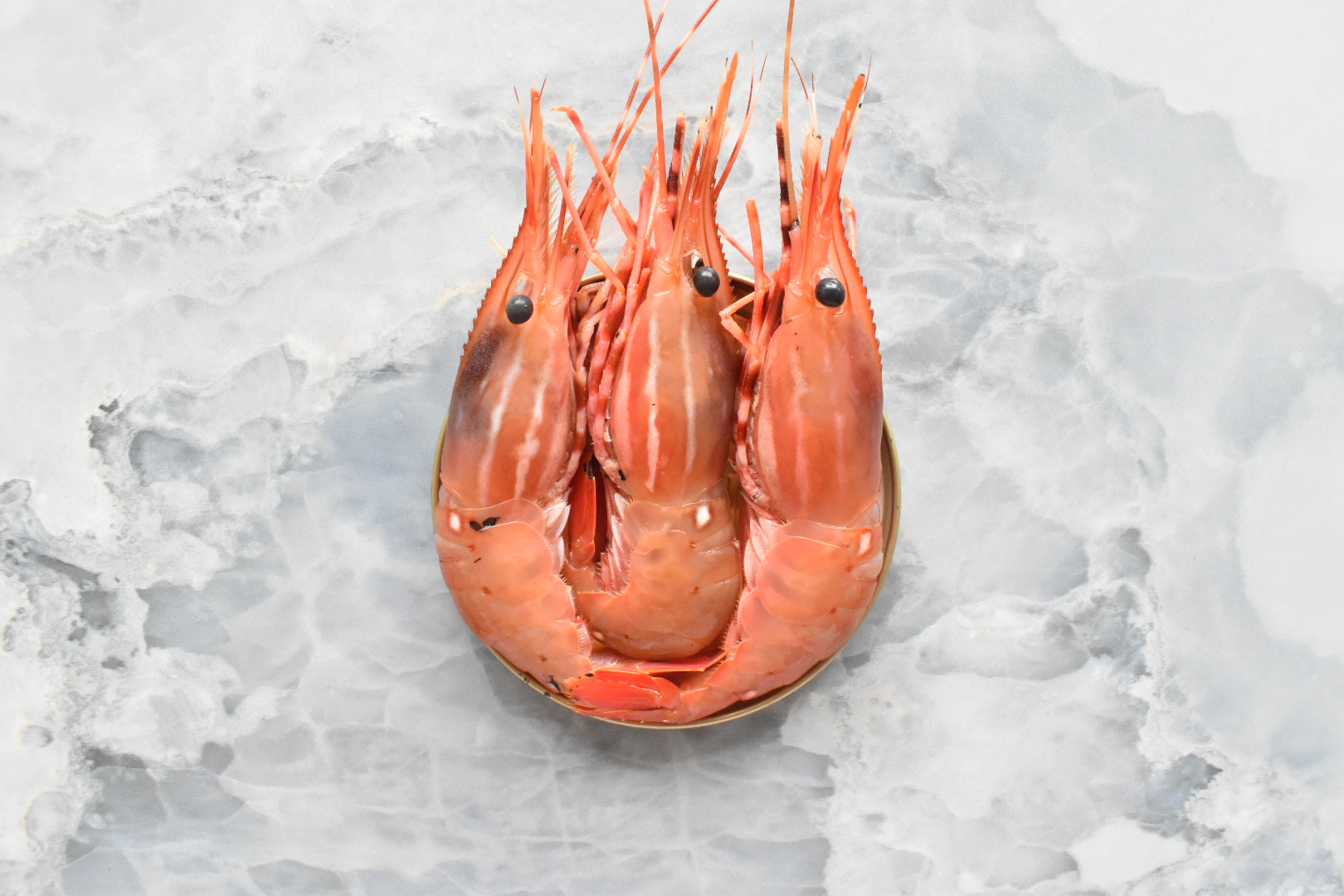 Botan ebi | spot prawn | – OrderSeafoodSg