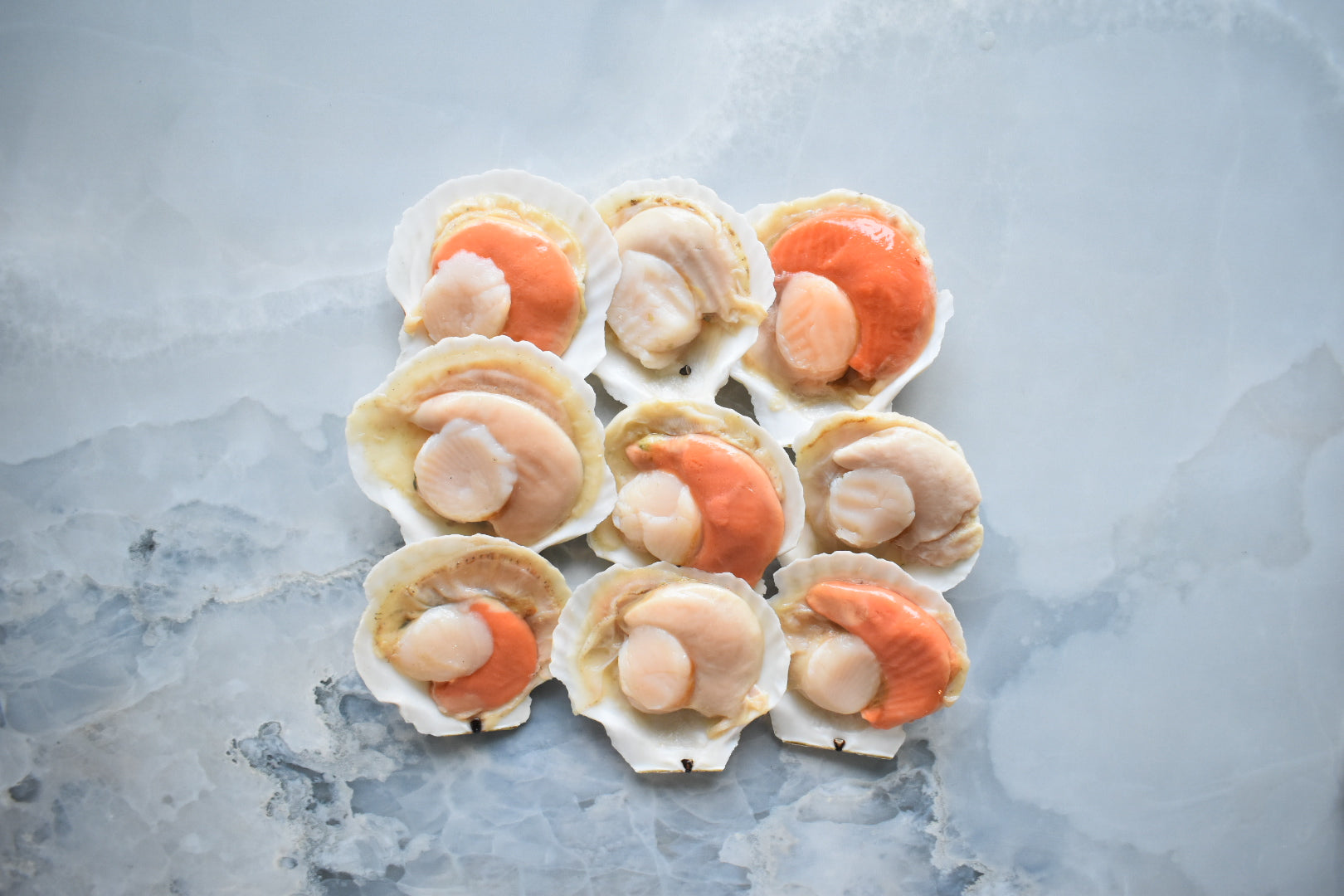 Half Shell Scallops – OrderSeafoodSg